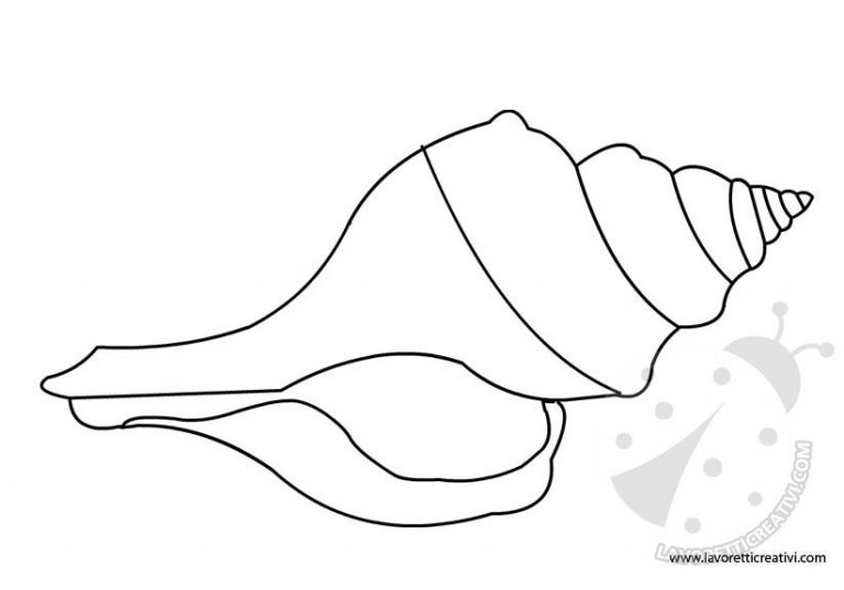 Conchiglie da stampare - Lavoretti Creativi