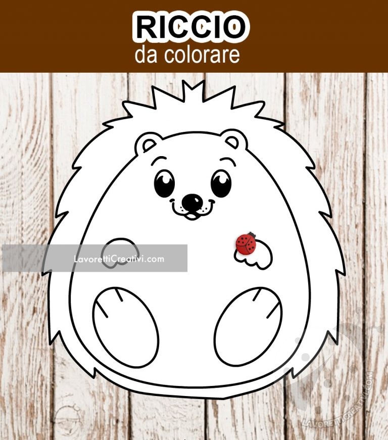 Riccio da colorare - Lavoretti Creativi