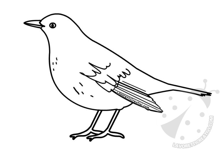 Merla disegno - Lavoretti Creativi